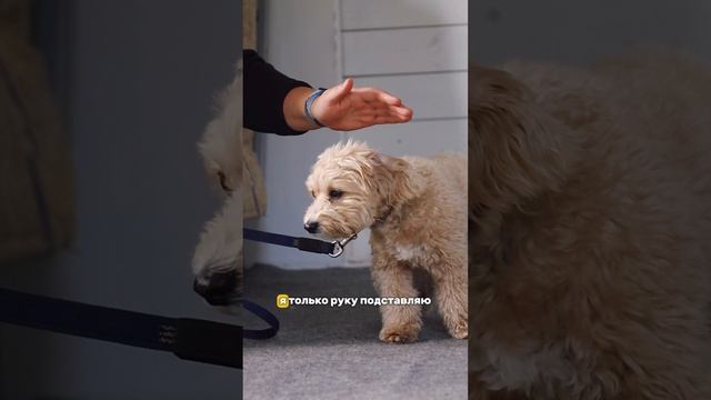 Сигналы предупреждения