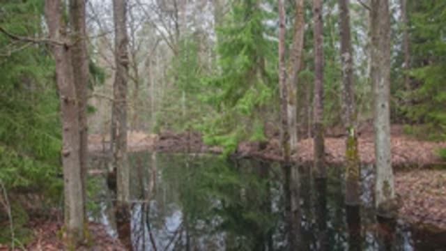 Весенний поход по реке Бужа 2021