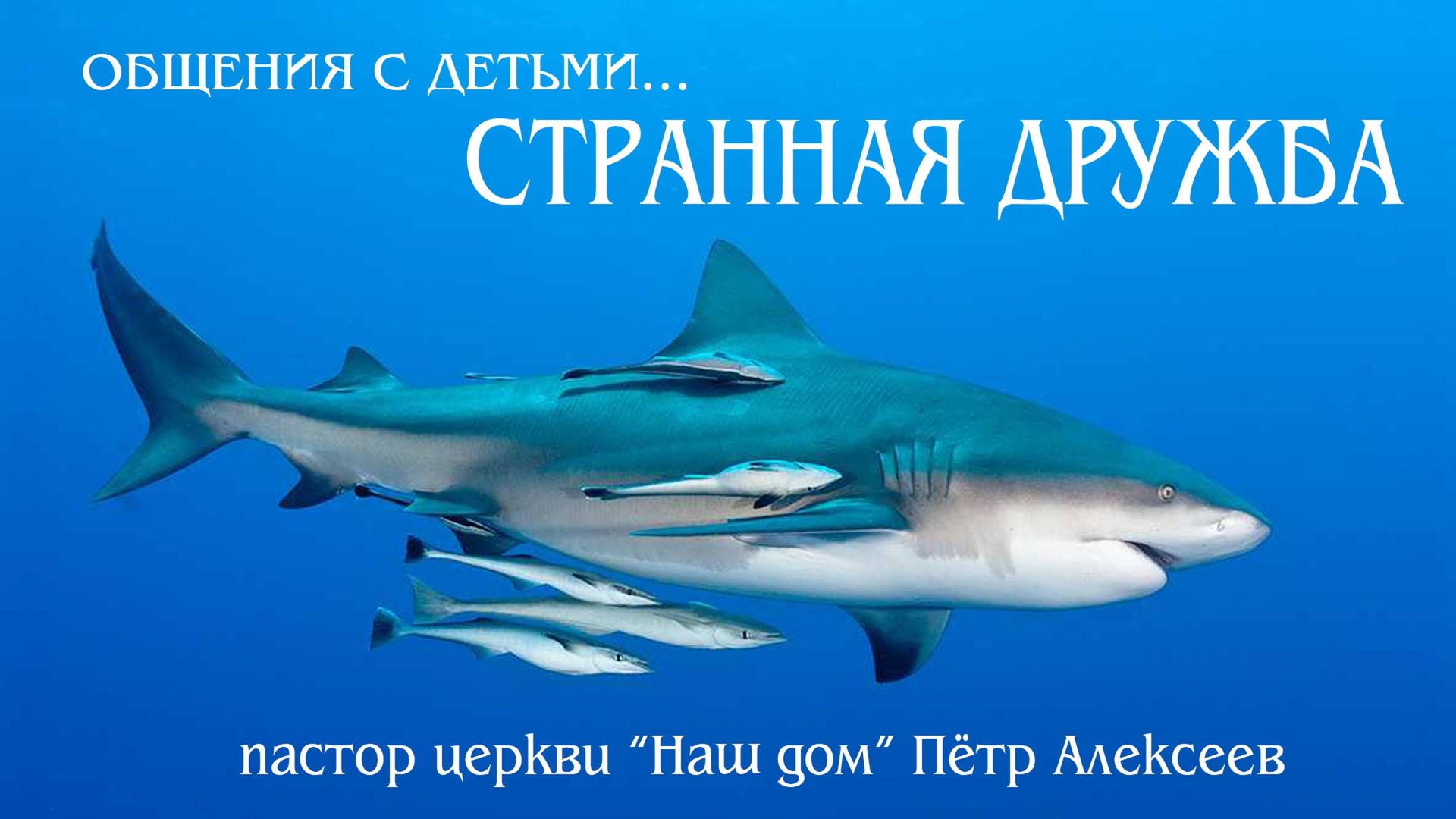 Необычная дружба