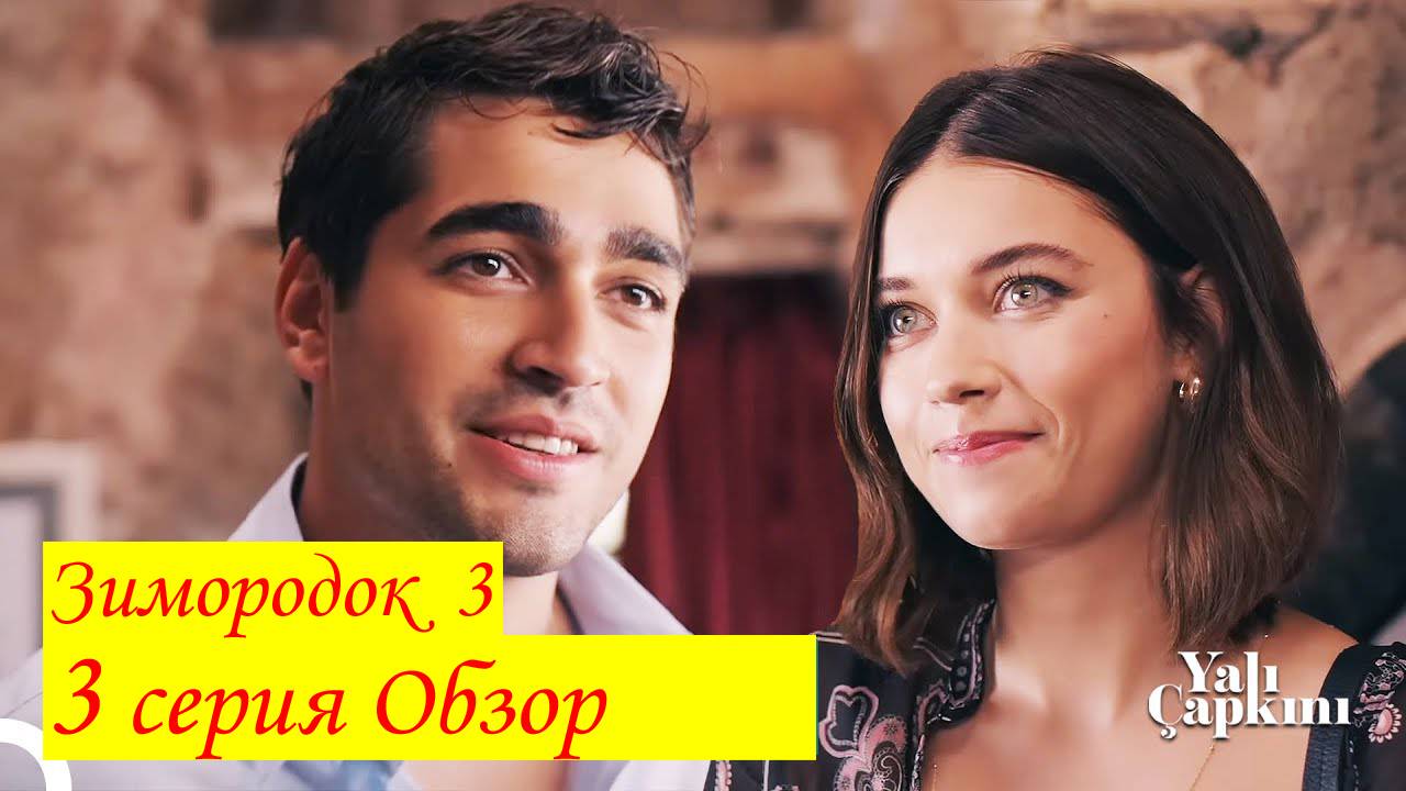 Зимородок 3. Серия 3. Обзор - пересказ.