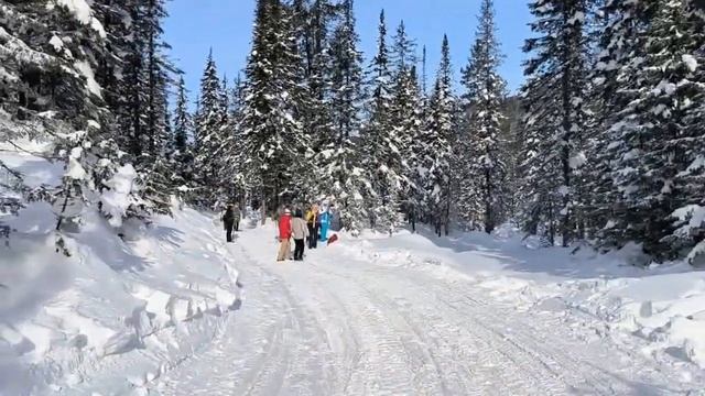 Мамай 2024