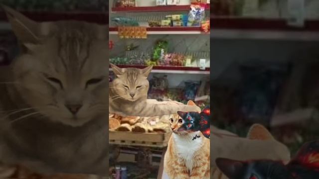 сложный выбор😅