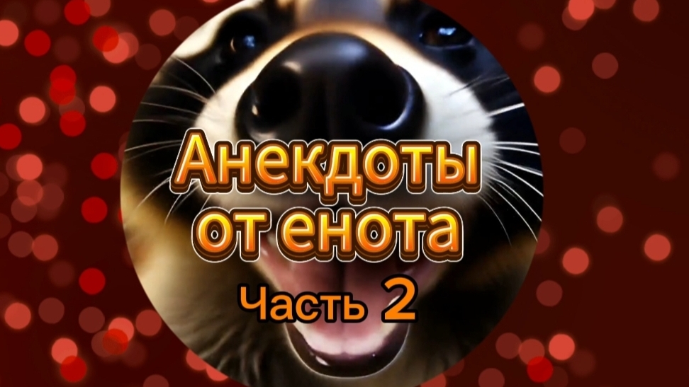 Анекдоты от енота. Часть 2