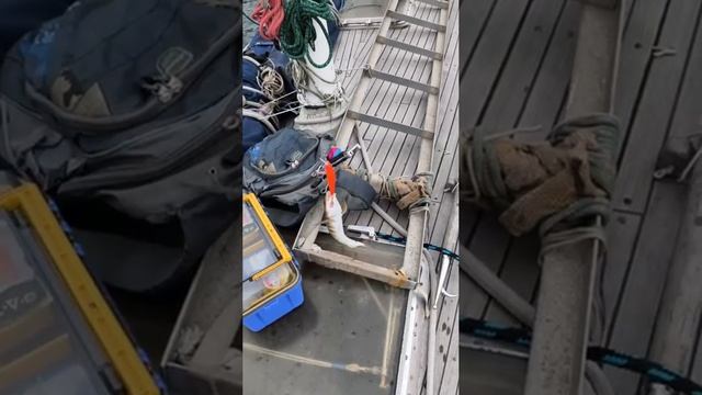 Терпуг на воблер 110 мм (30 гр) №59-1  от Mr. Musurok