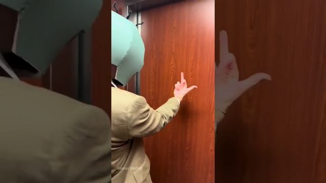 Если бы Растения против Зомби были в реальной жизни Plants vs Zombie Game PC мем шорт