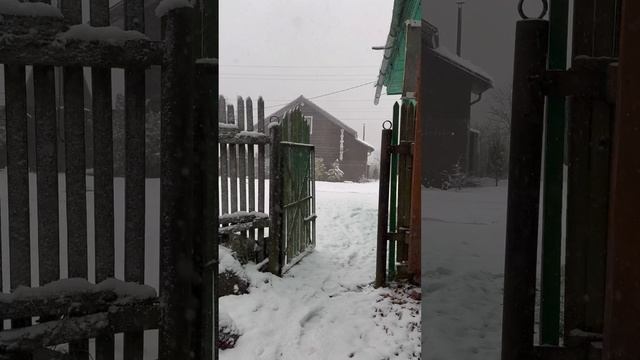 Прогулка по Селигеру. Деревня Слобода