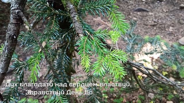 Здравствуй, суббота - христианское караоке (4K)