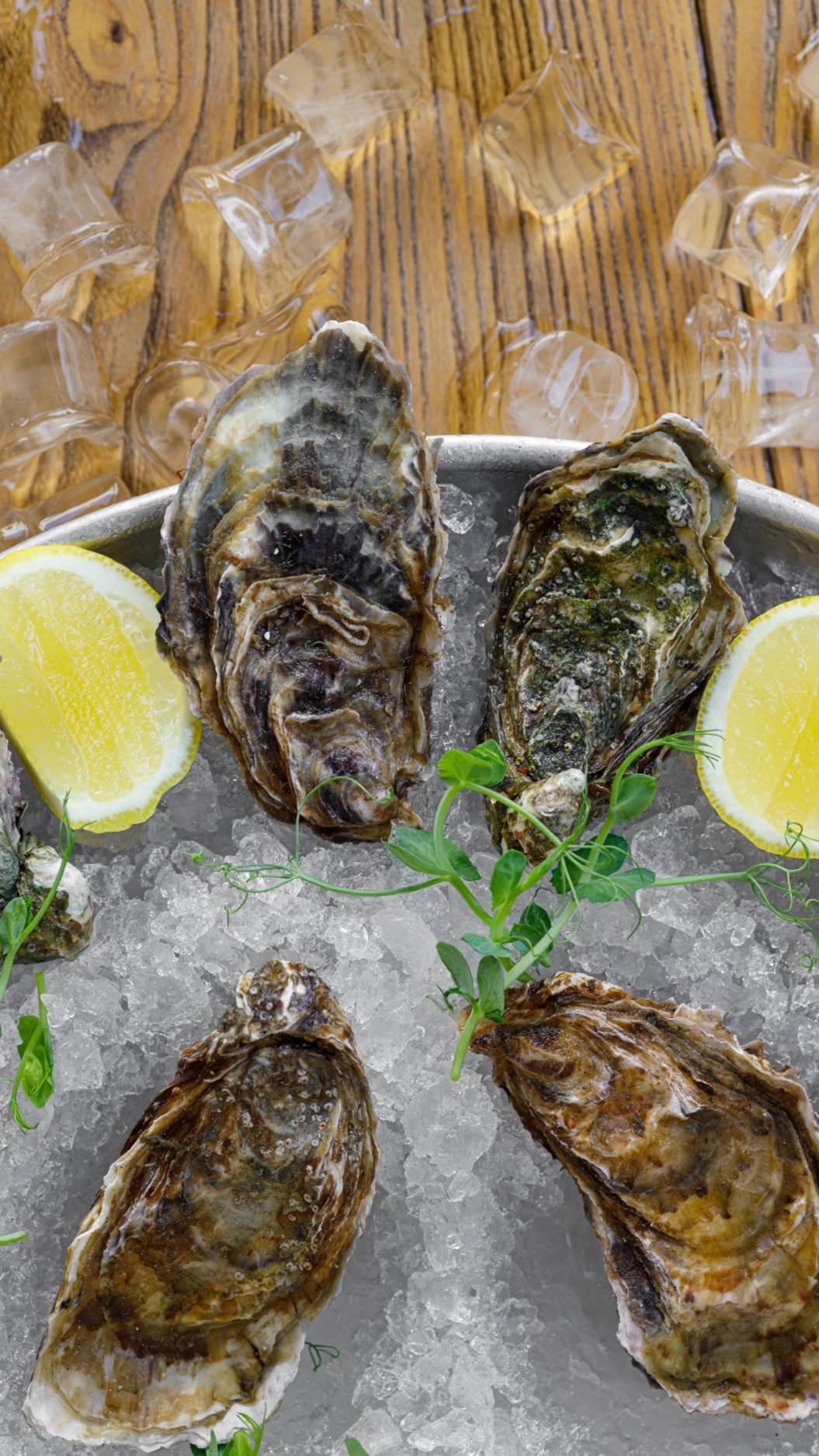 Устрицы в ресторане EL CHICO Воронеж