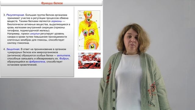 Свойства и функции белков