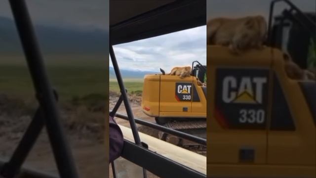 Сегодня не работаем... Пусть поспят)