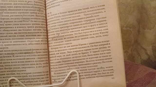 Выразительное чтение по русскому. Читает Тимофеев Денис