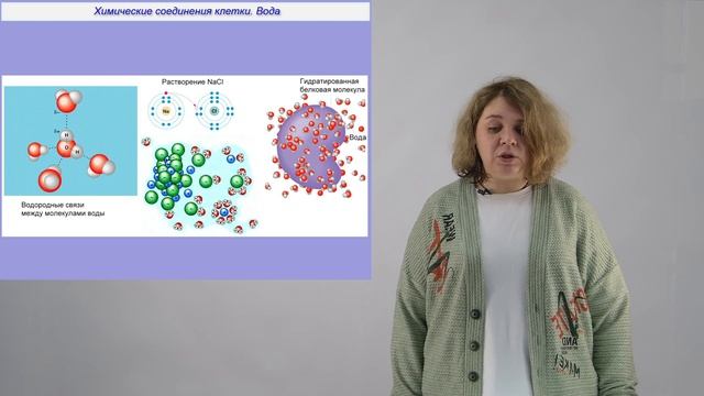 Химический состав клетки .Неорганические вещества клетки