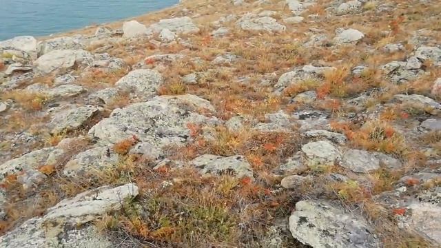 По местам сказки Омулевая бочка