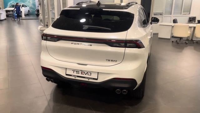 Изучил новый китайский автомобиль! Экспромт-обзор Forthing T5 EVO. Кстати гибрид!