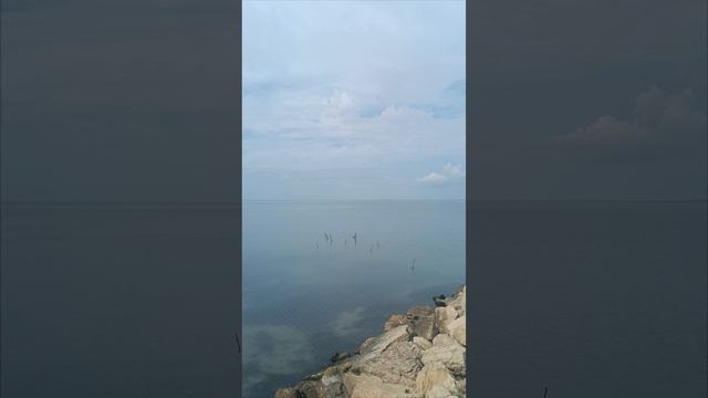 Тамань чистейшее море штиль 2024