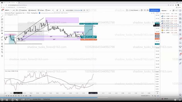 Глава 5. Папка 3. 2 The Madness Continues