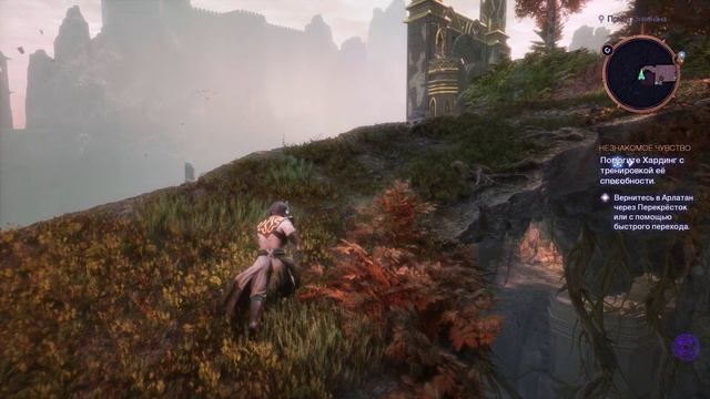 Dragon Age На страже Завесы#11