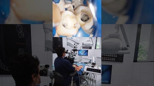 Козолий Екатерина Викторовна за работой