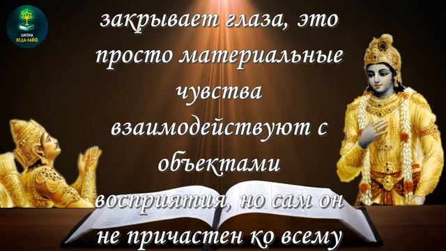 Бхагават Гита 5.8-11