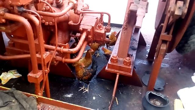 Бангладеш - Читагонг часть 2.