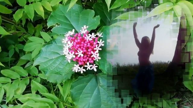 Я танцую