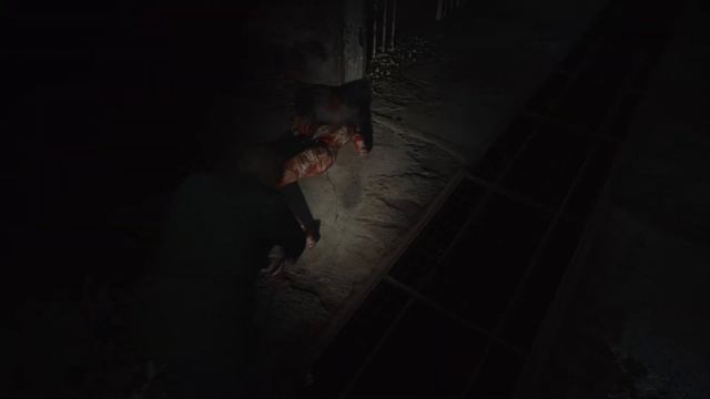 SILENT HILL 2 №20