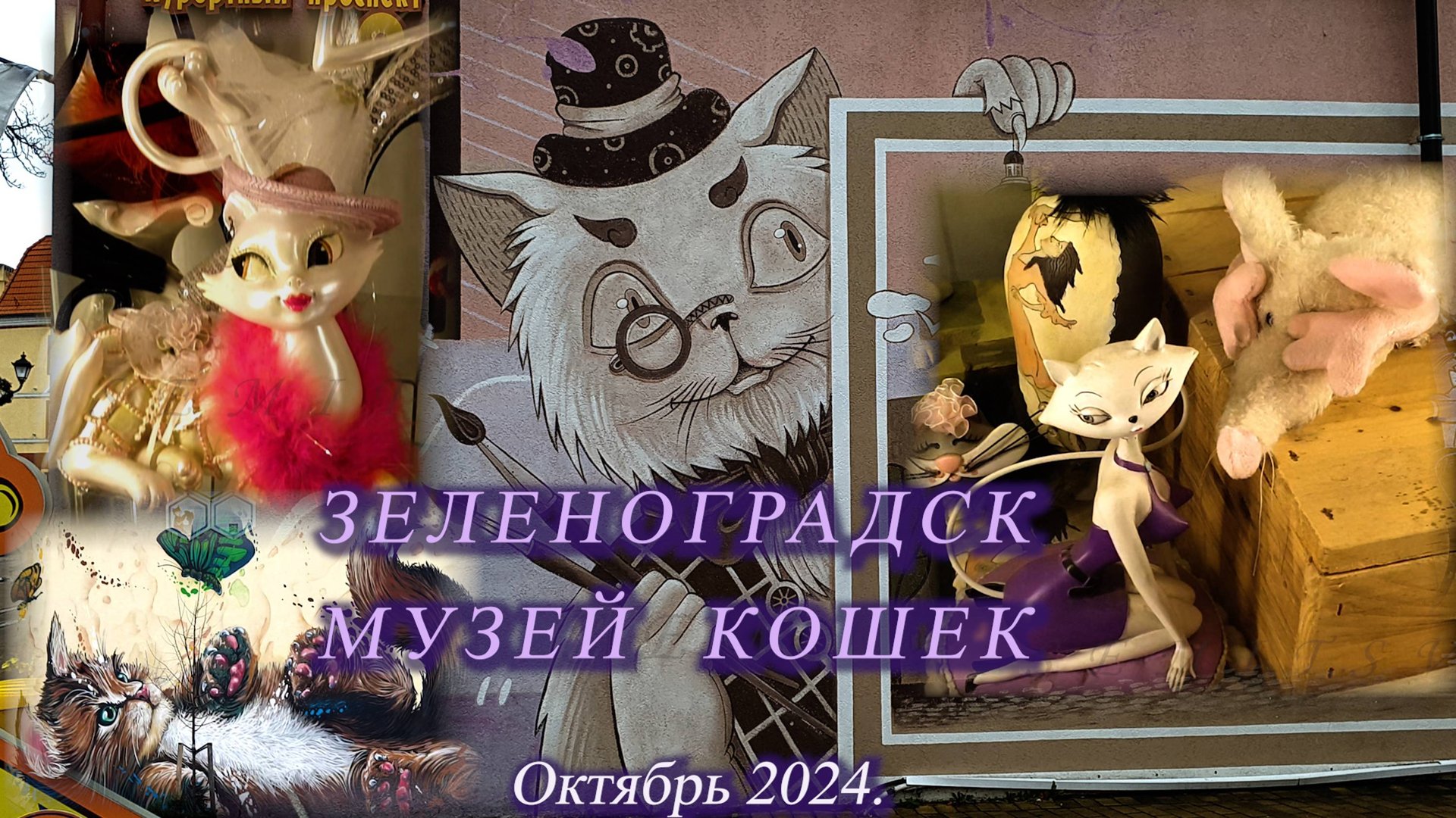 Мурариум. Самый милый музей кошек! 😺😻 Зеленоградск. Октябрь 2024