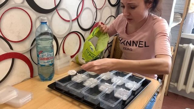 Подготовка к Дачному сезону 2023/Посев петунии-реально,просто и эффективно/Самый простой способ