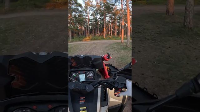 На квадрике по берегу Ладоги. Тайпаловский залив