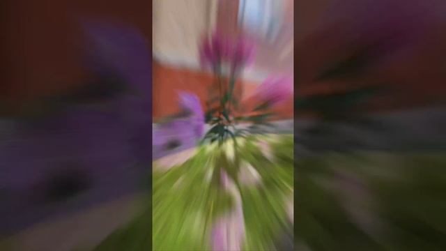 Экоквартал Вознесенский