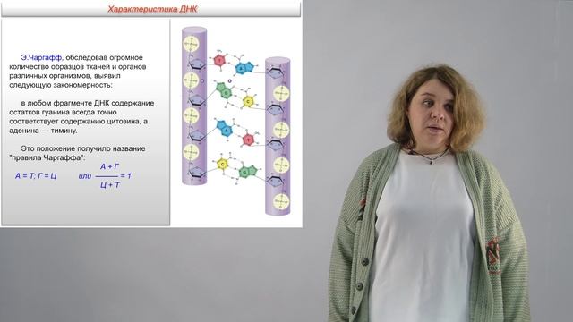 Нуклеиновые кислоты. ДНК