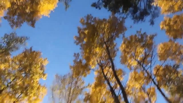 Осенний вальс