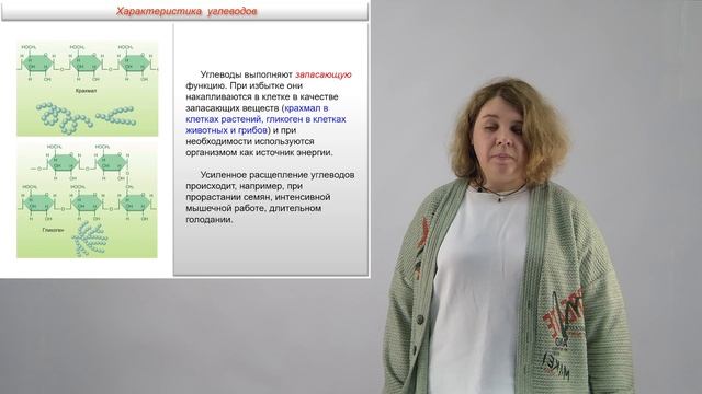 Углеводы. Липиды