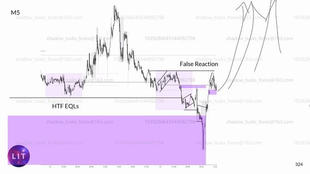 Глава 5. Папка 2. 4 Piecing the Puzzle