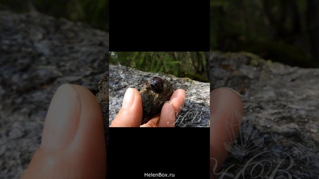 Карелия: Кительское месторождение граната Альмандина #Карелия,  #Китиля, #Гранат, #Альмандин, #лес