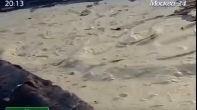 МАСЛЕНИЦА: БЛИН-РЕКОРДСМЕН И БОГАТЫРИ. РЕПОРТАЖ М-24