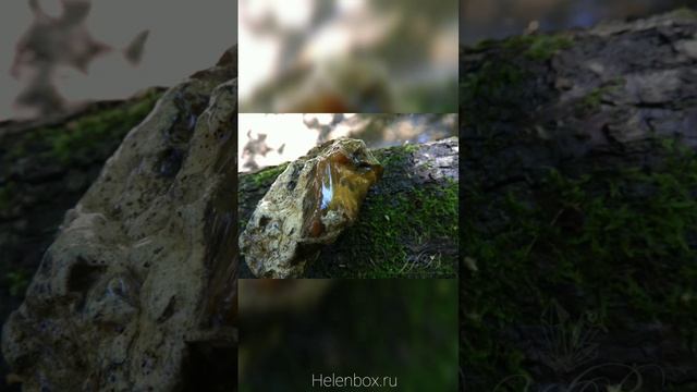 HelenBox | #ПолевойДневник 21.07.2023. #Ситня. #Халцедон, #Кремень, #Кварц, #Окаменелости