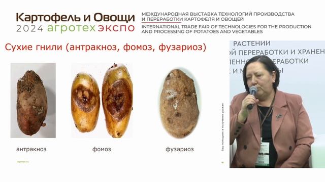 «Российские технологии: повышение урожайности и качества картофеля и овощей», технологическая сессия