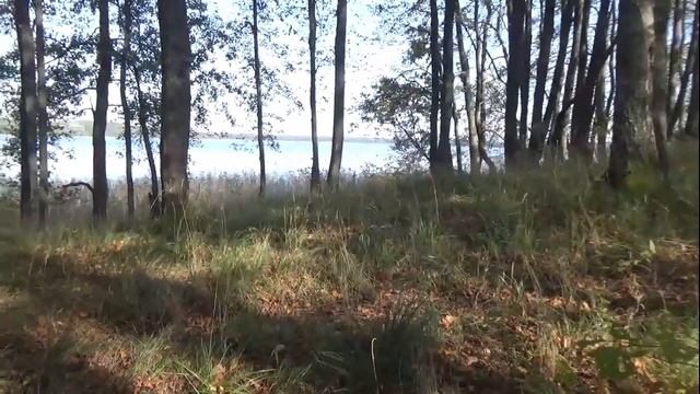 Дайвинг на Озере Большое Олбито Псковская Область - Осень 2020