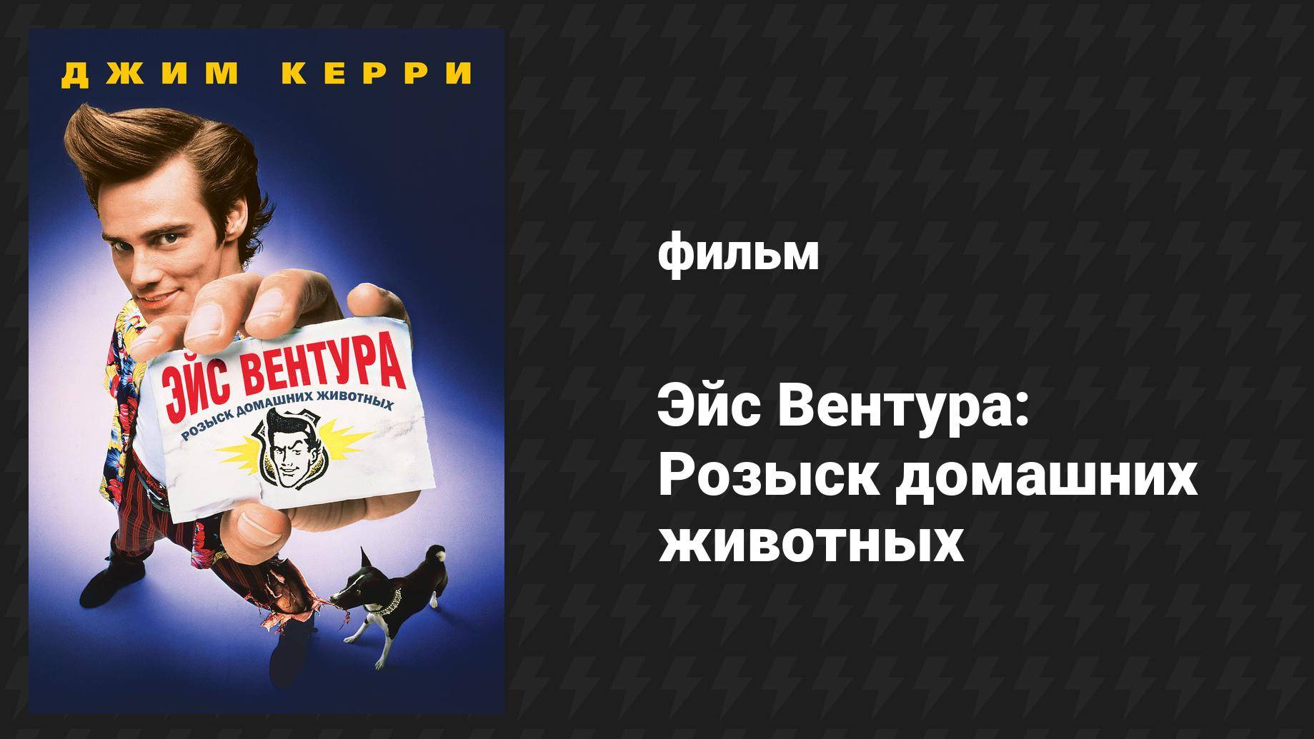 Эйс Вентура: Розыск домашних животных (фильм, 1993)