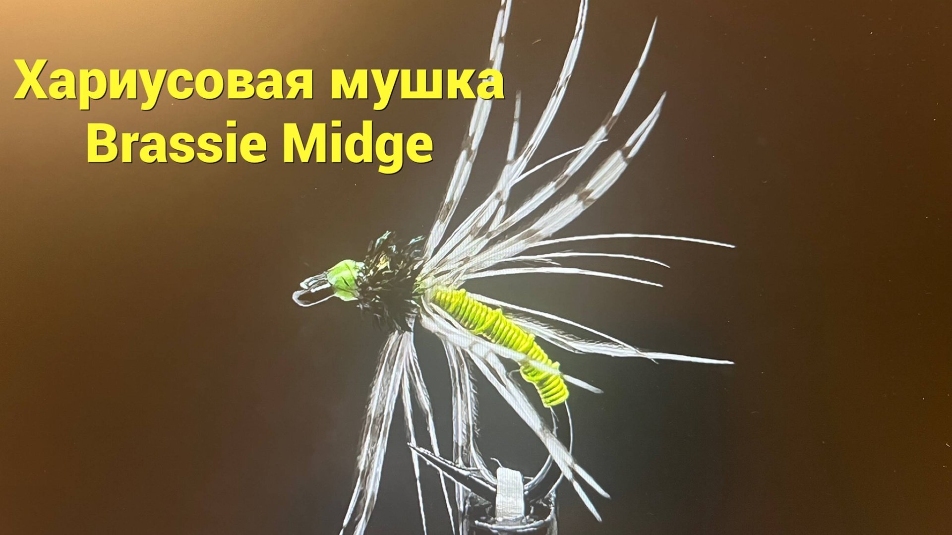 Мушка-убийца Хариуса Brassie Midge/Мошка Как связать от GM FLY