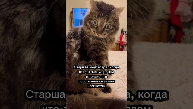 Козолий Екатерина Викторовна за работой