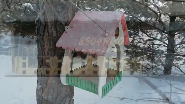 Сеть быстрого питания для пернатых