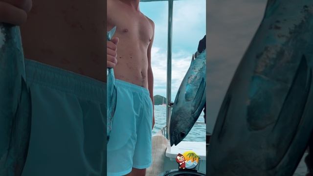 🎣 Рыбалка у берегов Пхукета — приключение для каждого! 🌊