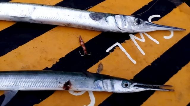 Рыбалка в Момбасе (Кения) на внутренем рейде - Fishing in Mombasa (Kenya) in the internal roadstead
