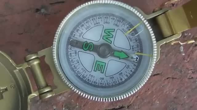 Помни одну цифру - не заблудишься в лесу!!!