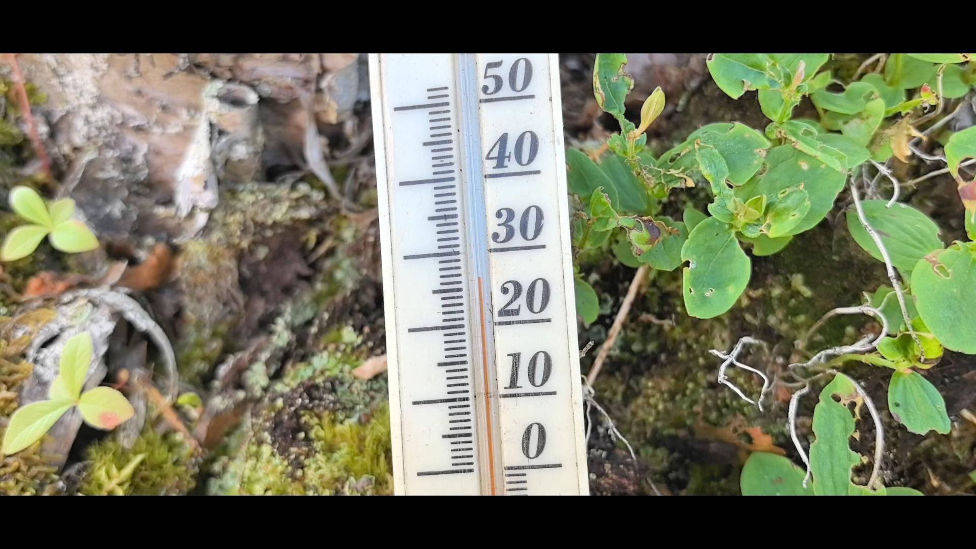 "Жаркая" рыбалка на Крайнем Севере