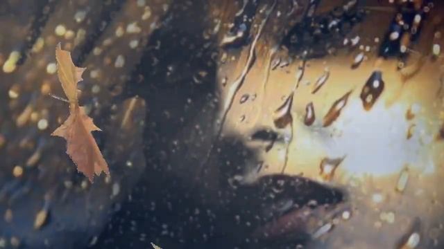 Осенний футаж. Гроза.