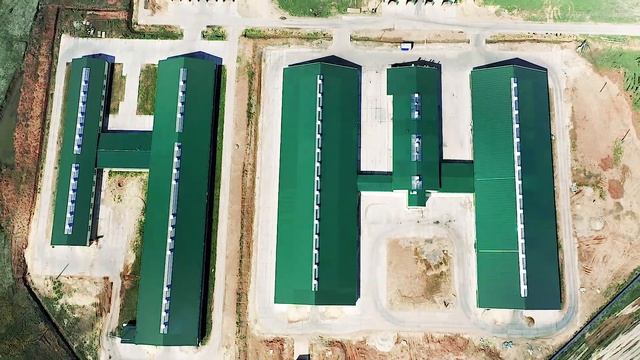 Агрофирмы Кировского молочного комбината. Фермы.