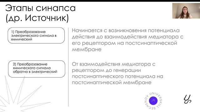 Нормальная физиология | Возбудимые ткани. Синапс